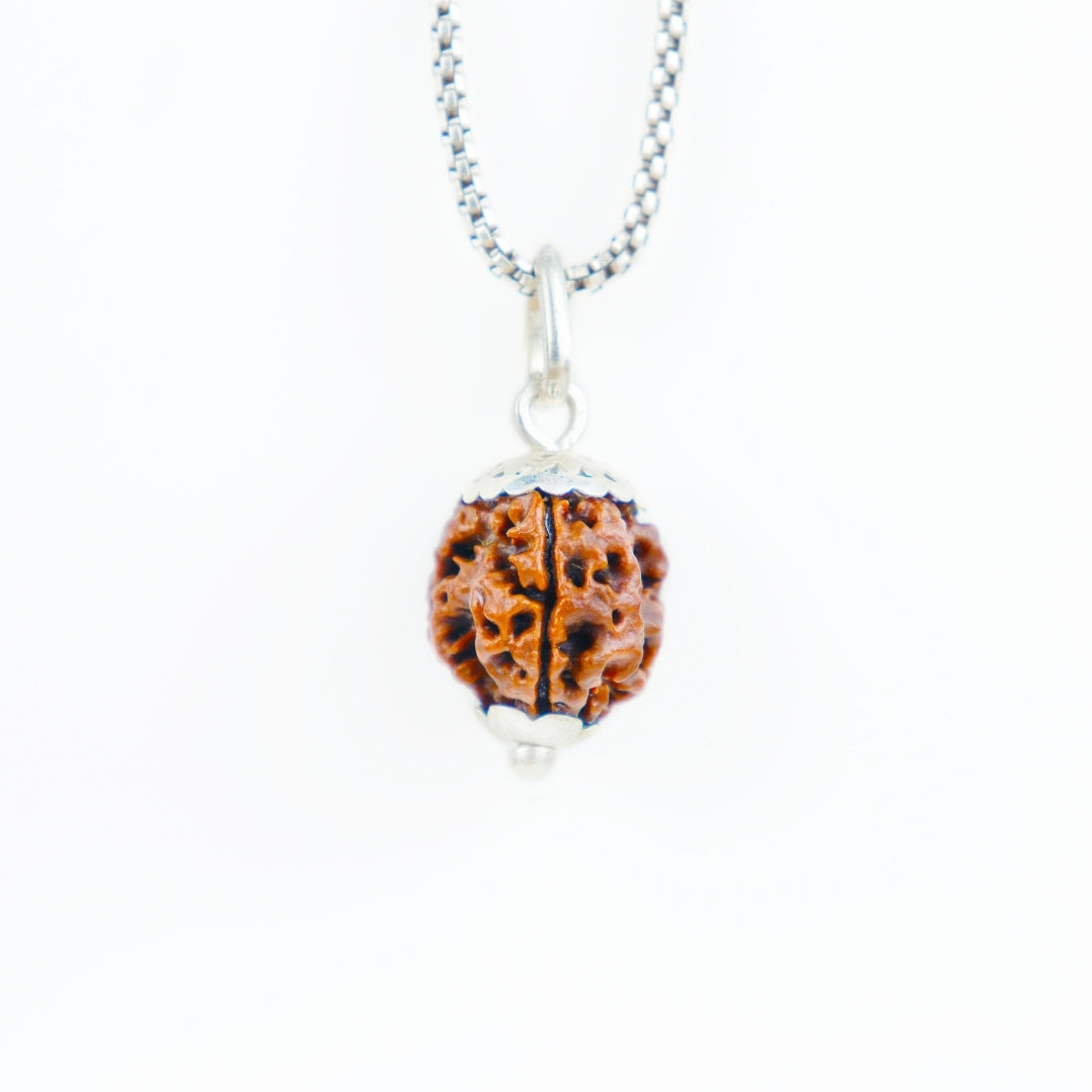 Buy Rudraksha with Silver Chain at Best Price – Prinjal Jewels